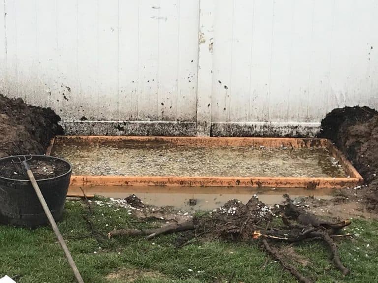 How to Build a Shed from Scratch by Just the Woods