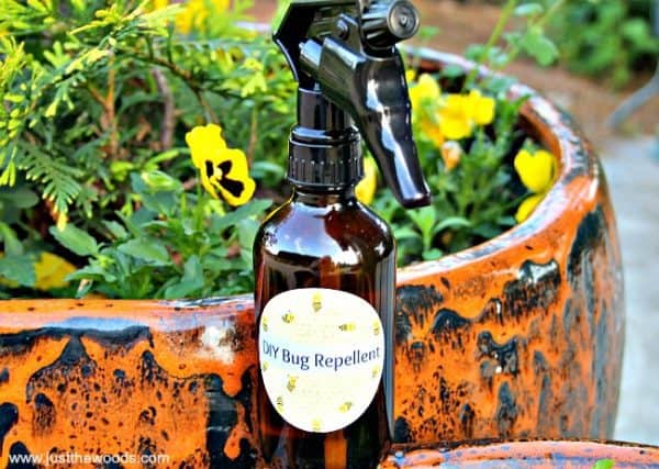 How to Make DIY Bug Repellent Spray to Keep the Bugs Away