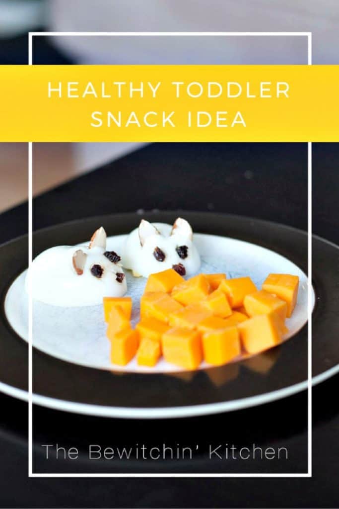15+ Easy Healthy Snacks for Kids on the Go and Back to School