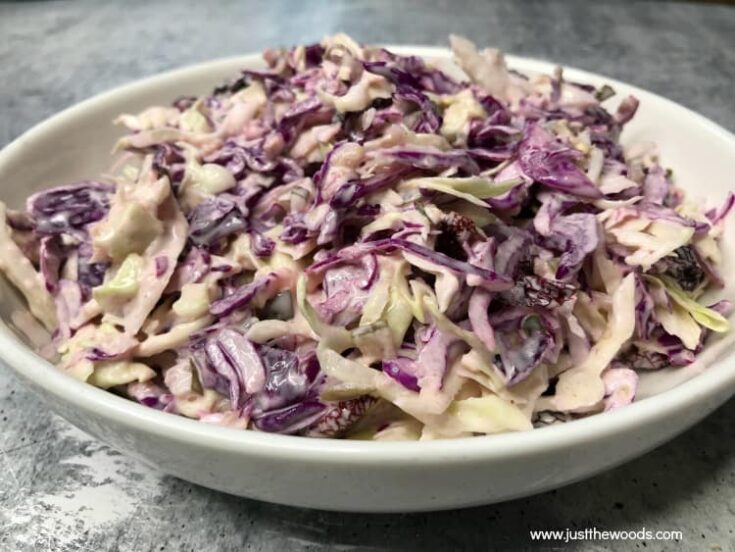 How to Make the Best Super Simple Homemade Coleslaw Recipe