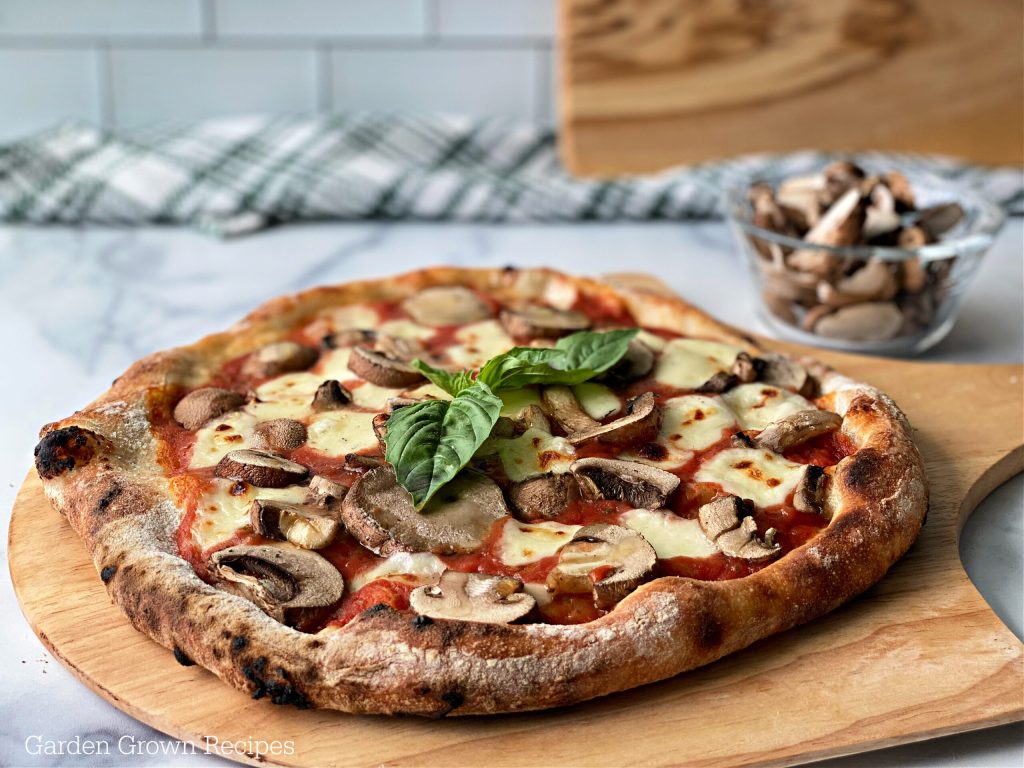 30+ Best Gourmet Pizza Recipes that You Can Make at Home