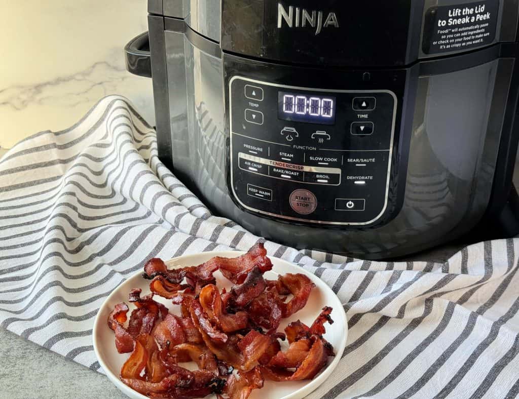 20+ Best Ninja Foodi Air Fryer Recipes