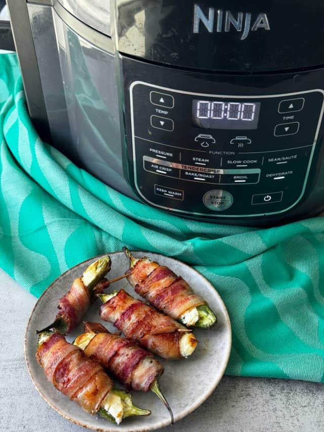 Ninja Foodi Jalapeno Poppers Recipe in the Air Fryer