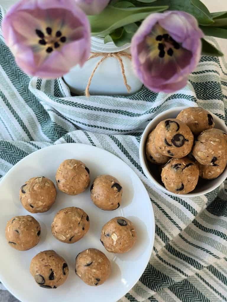 Homemade Protein Balls and Energy Bites