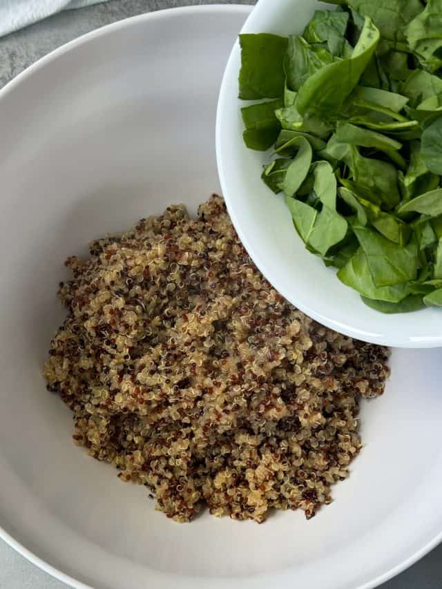 Quinoa Cranberry Salad Recipe with Balsamic Vinegar