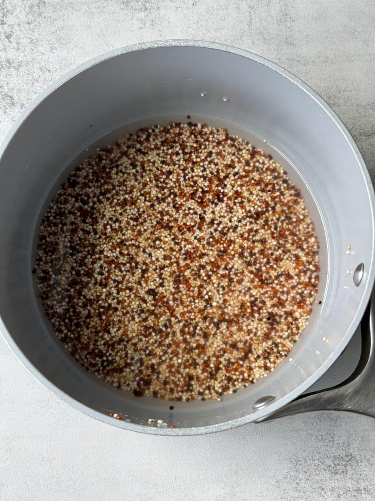 Quinoa Cranberry Salad Recipe with Balsamic Vinegar