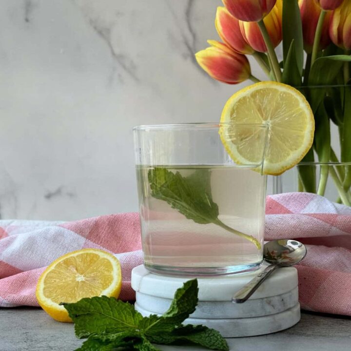 Apple Cider Vinegar Water Recipe with Lemon and Mint