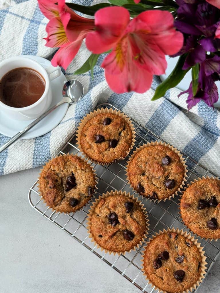 Easy Healthy Chocolate Chip Muffin Recipe
